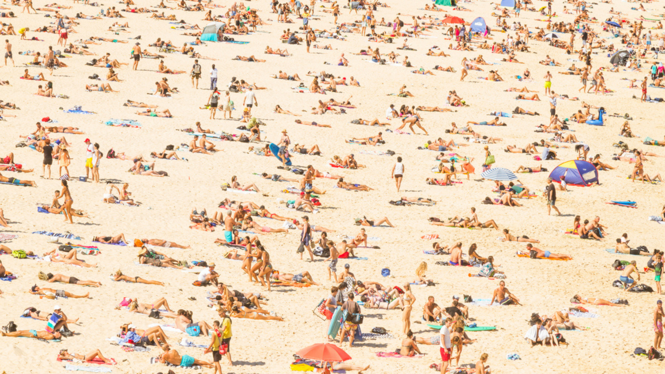 Which countries have the highest rates of skin cancer? Solbari